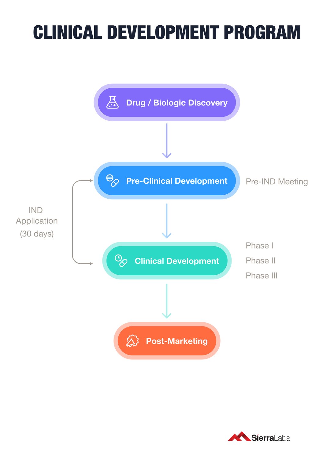 Quick Guide to a Successful Clinical Development Program